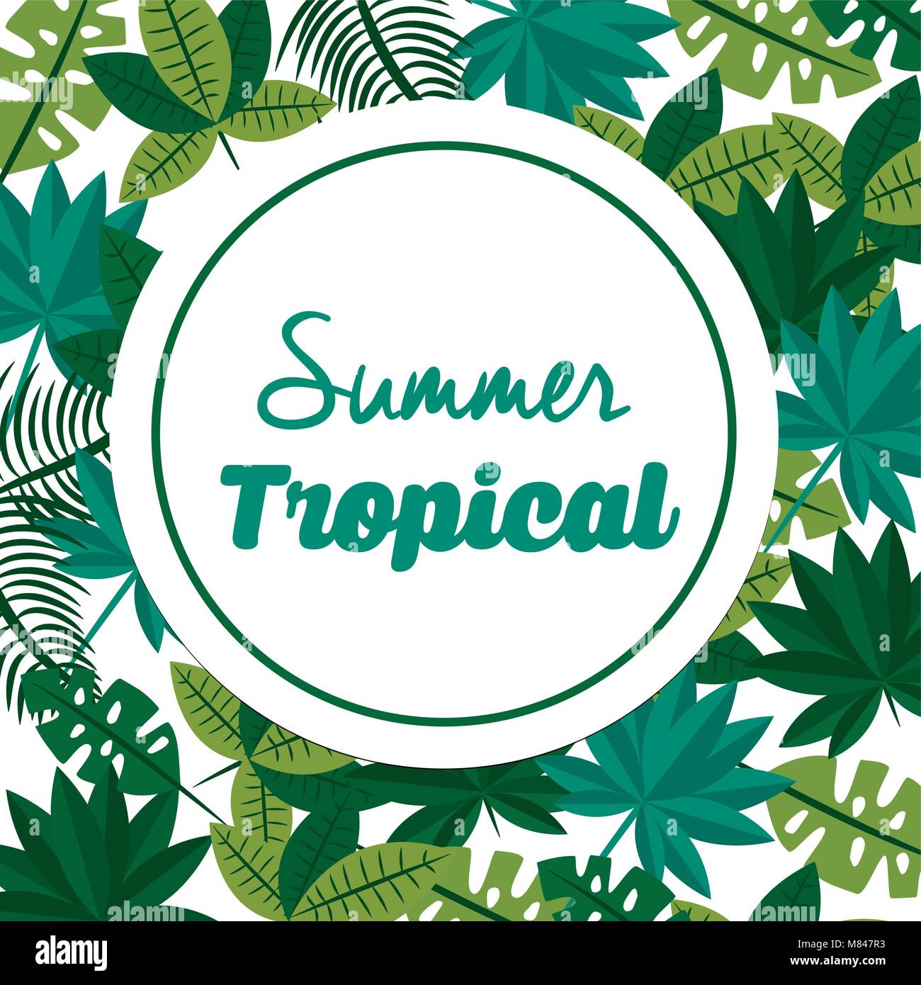 summer tropical season Stock Vector Image & Art - Alamy