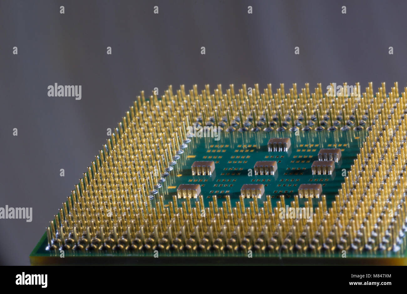 Microprocessor - closeup detail, blurred background Stock Photo - Alamy