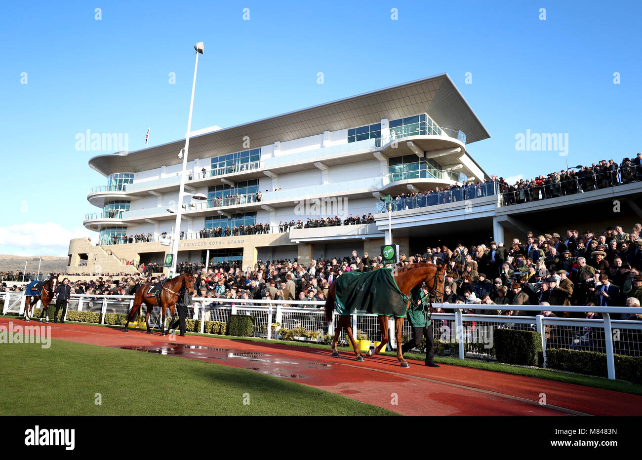 Horses in the parade ring in front of the Princess Royal stand during ...