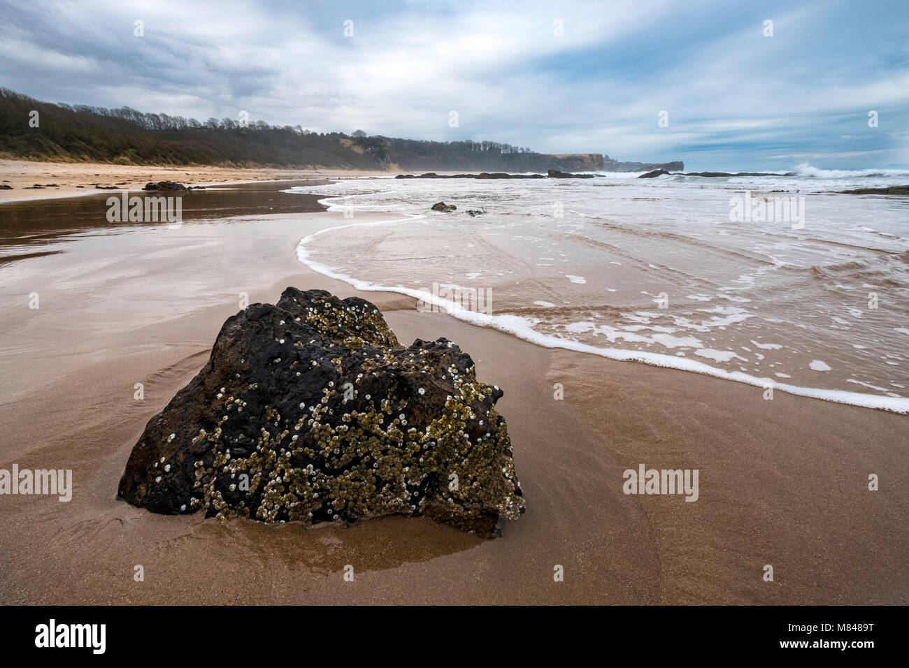 Seacliff beach hi-res stock photography and images - Alamy
