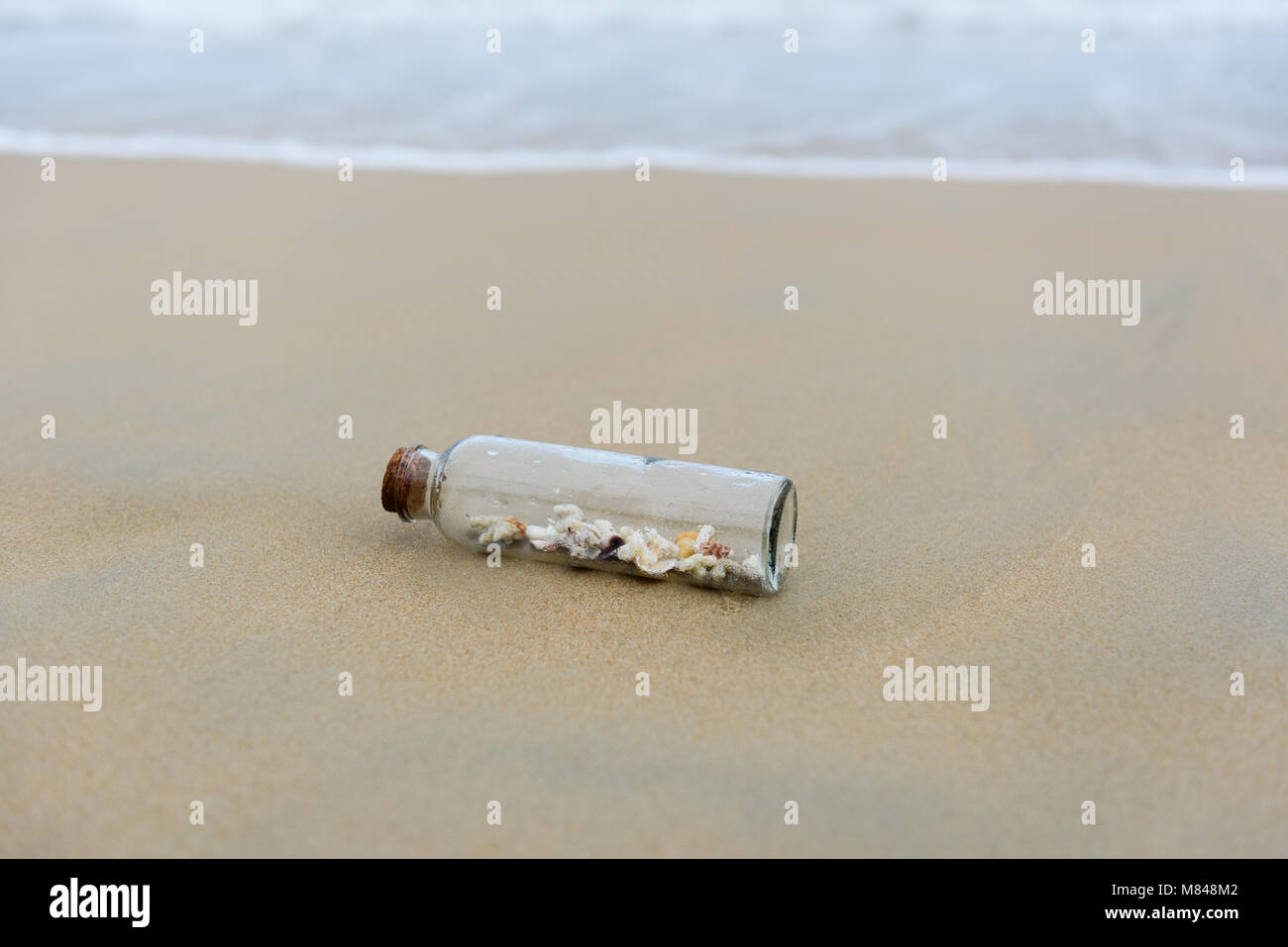 Some shells in a bottle on the beach, shore,cast out by ocean or sea ...