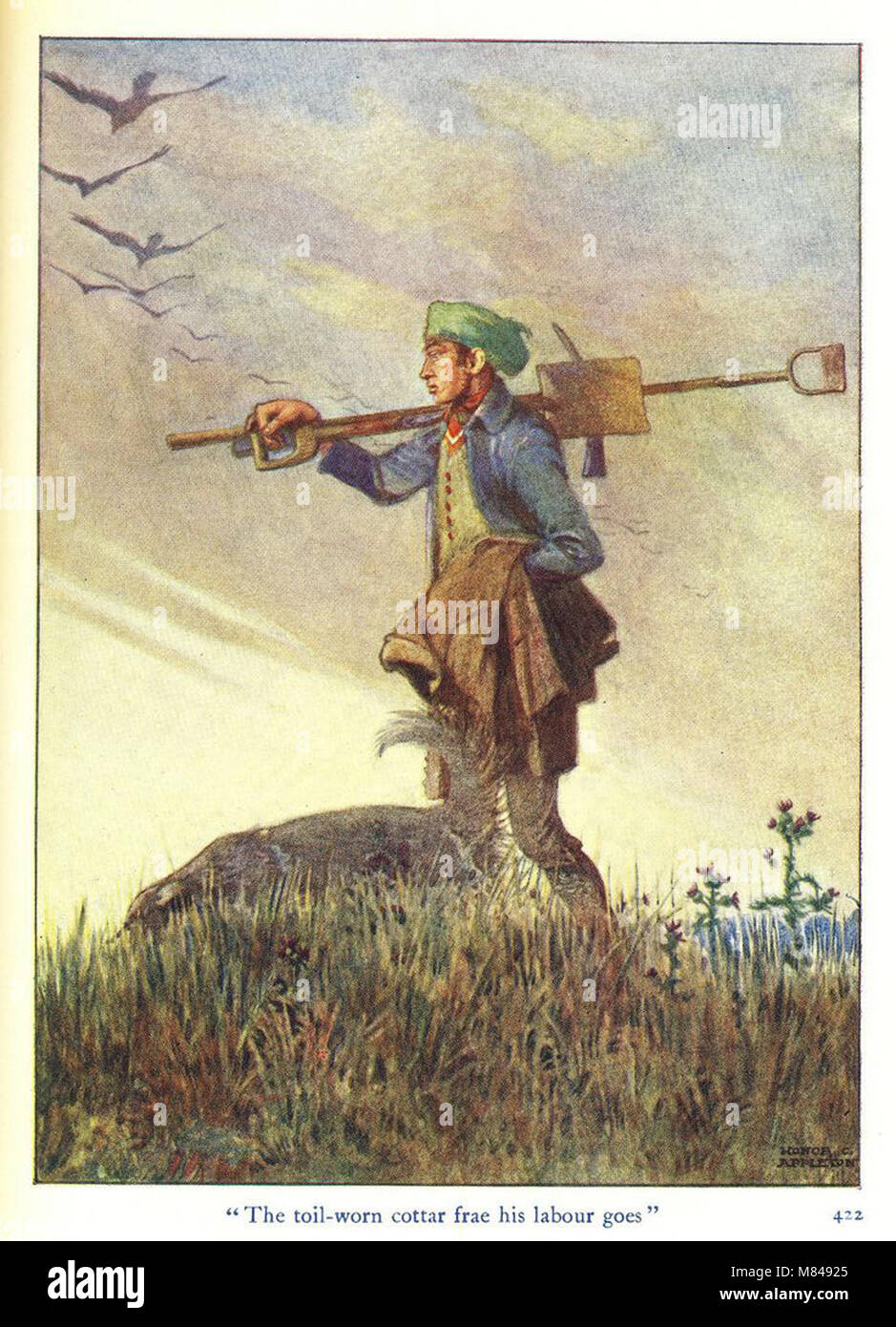 Honor appleton illustration hi-res stock photography and images - Alamy