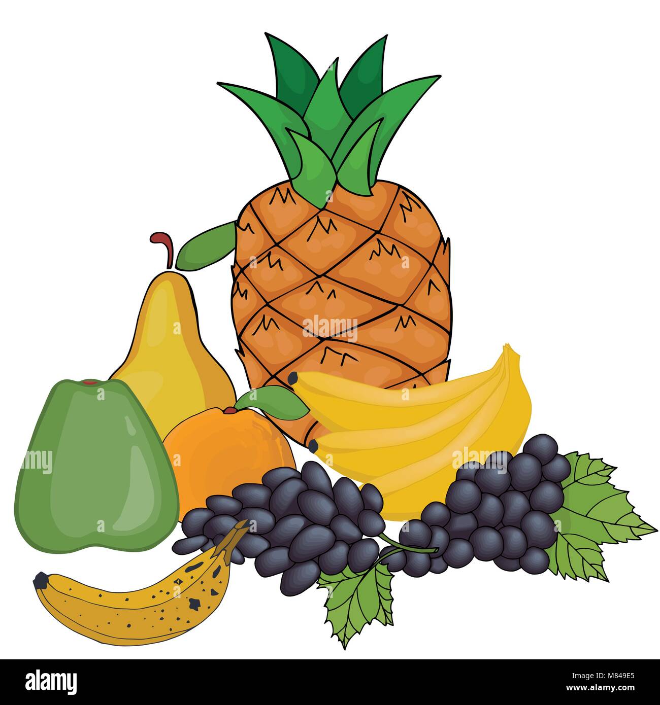 Apple, pear, banana, pineapple, grapes vector illustration. Natural ...