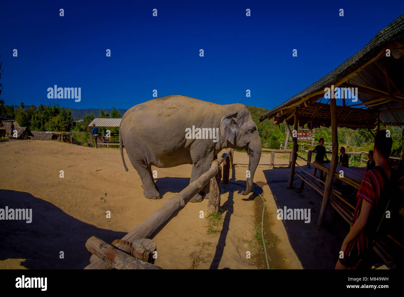 CHIANG RAI, THAILAND - FEBRUARY 01, 2018: Front view of beautiful huge ...
