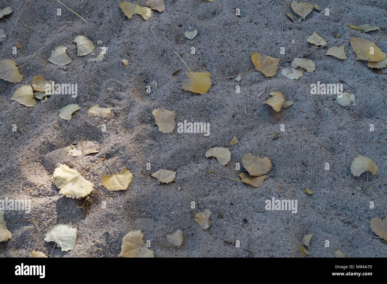 Playground in the Fall Stock Photo - Alamy
