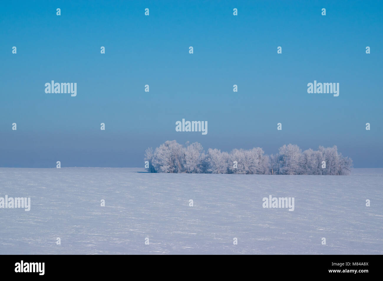 Robin frost blue sky hi-res stock photography and images - Alamy