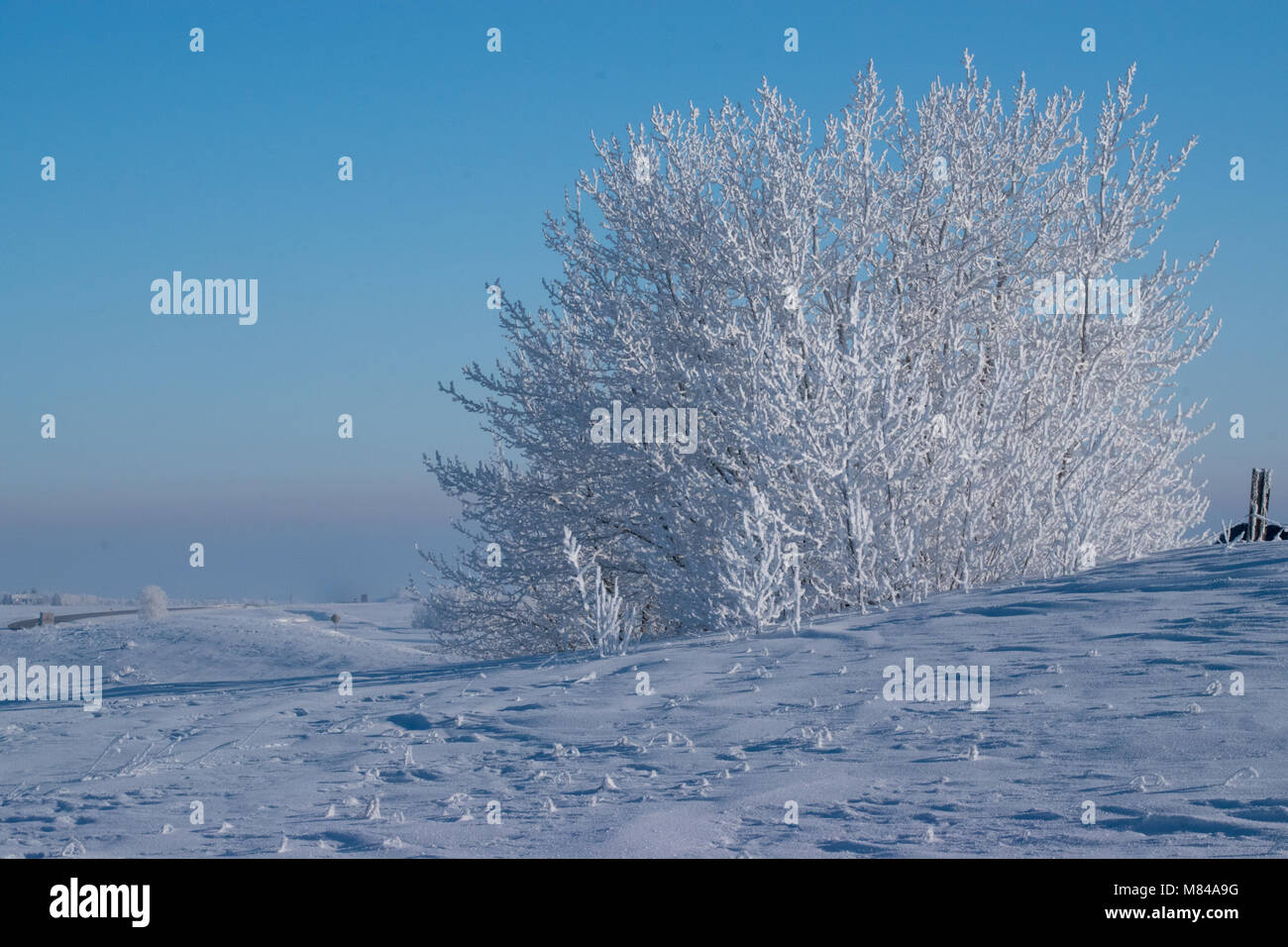 Robin frost blue sky hi-res stock photography and images - Alamy
