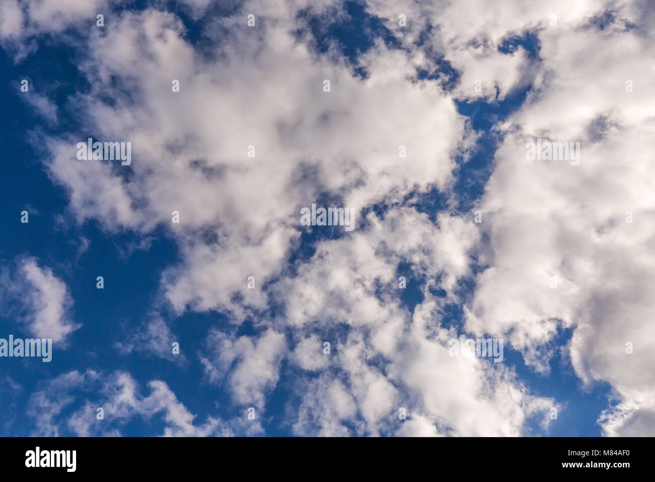 Blue cloudy sky Stock Photo - Alamy