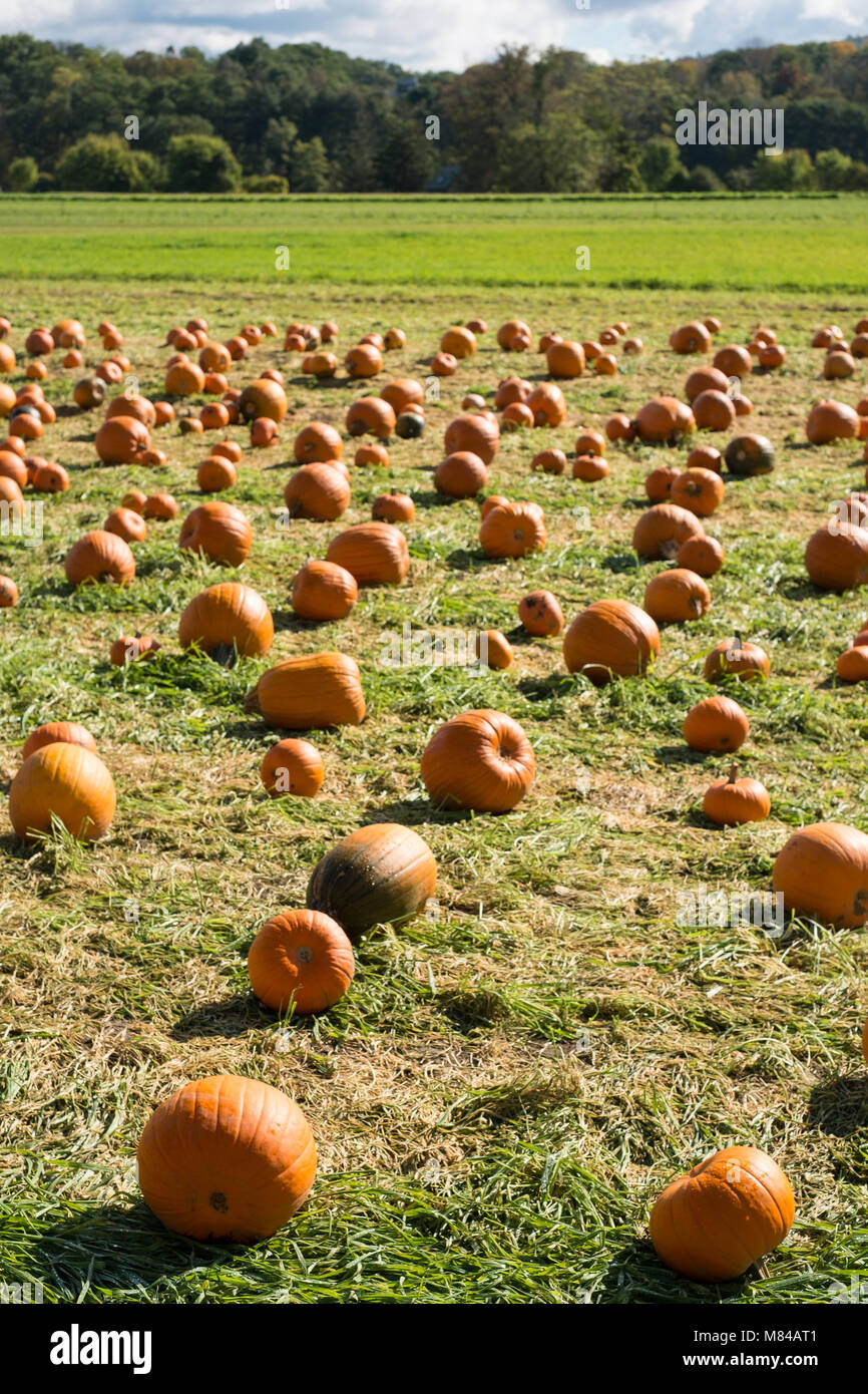 Vermont farm organic hi-res stock photography and images - Alamy