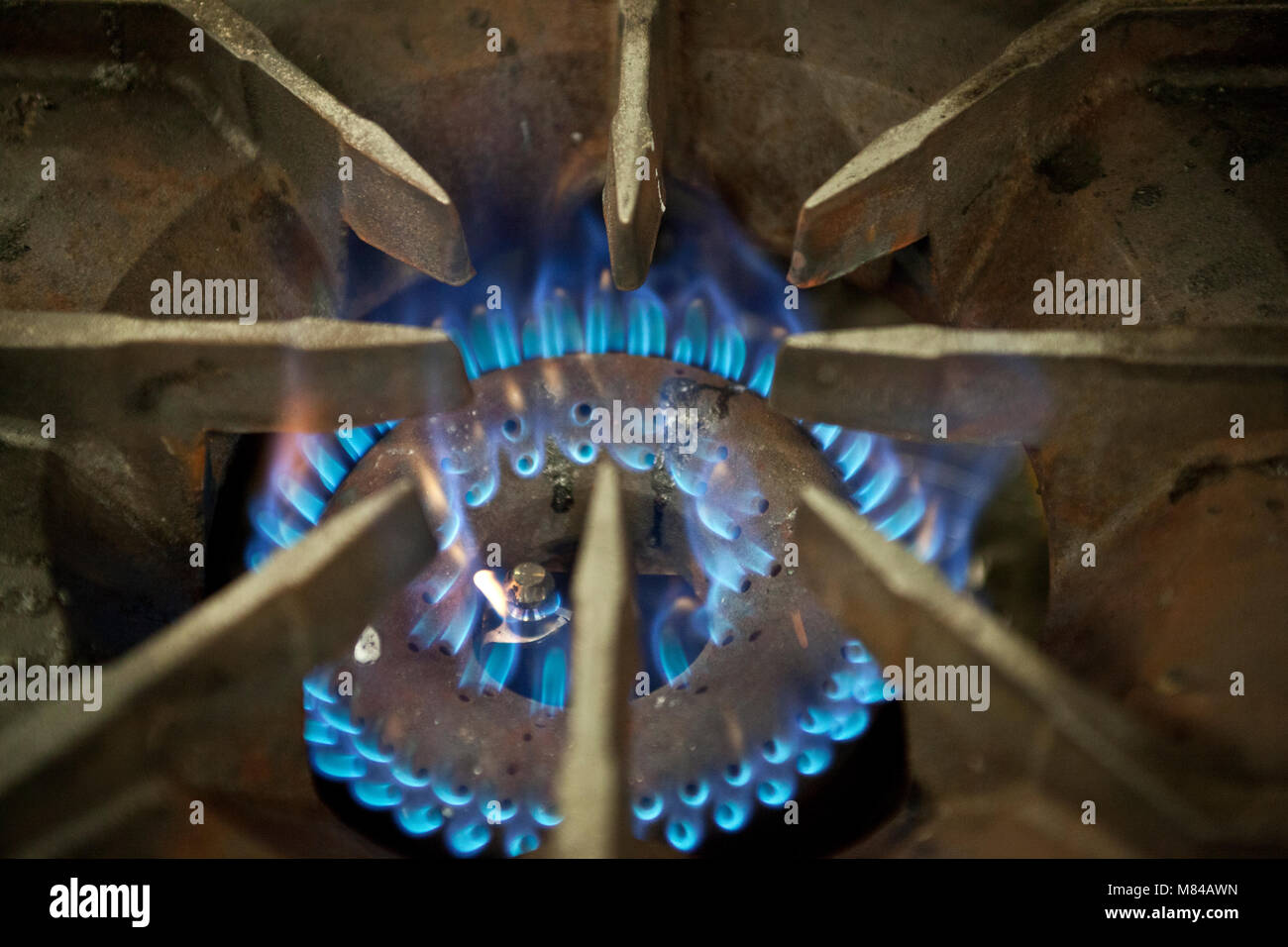 gas stovetop flame in a Burner in a commercial kitchen Stock Photo - Alamy