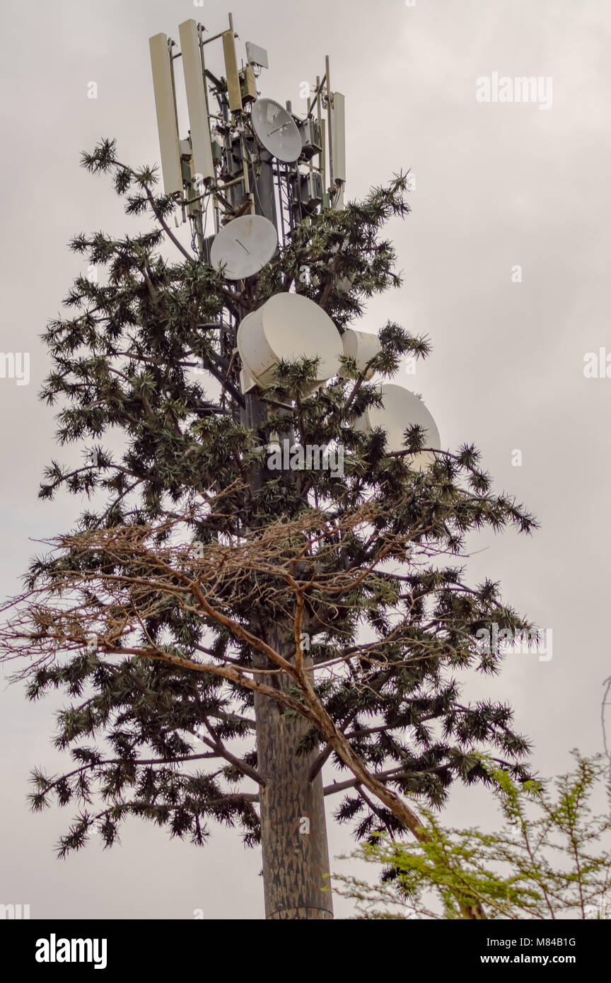 Tree transformed into a transmission pylon with antenna and parables in ...