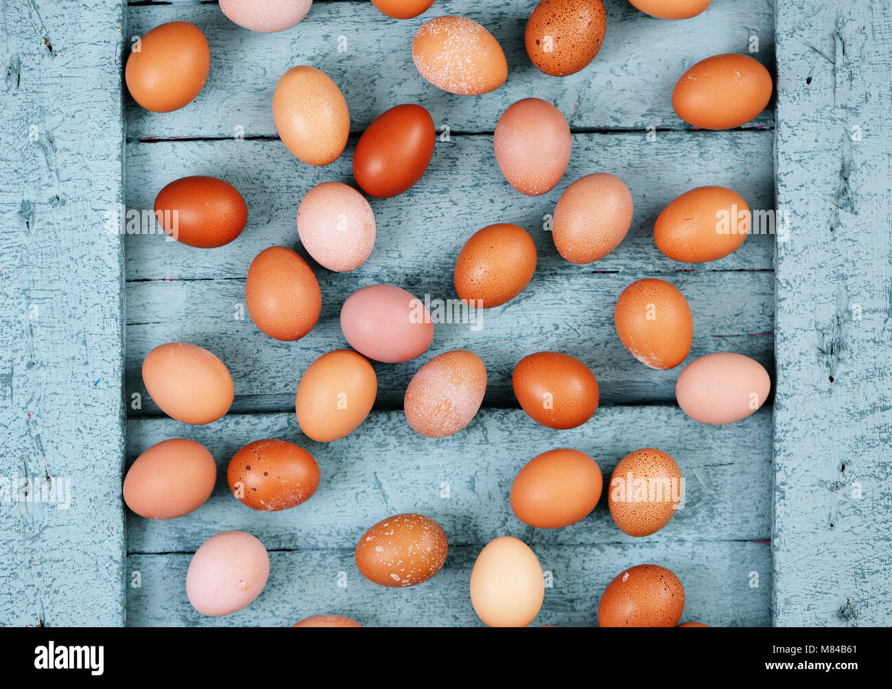 many eggs top view Stock Photo - Alamy