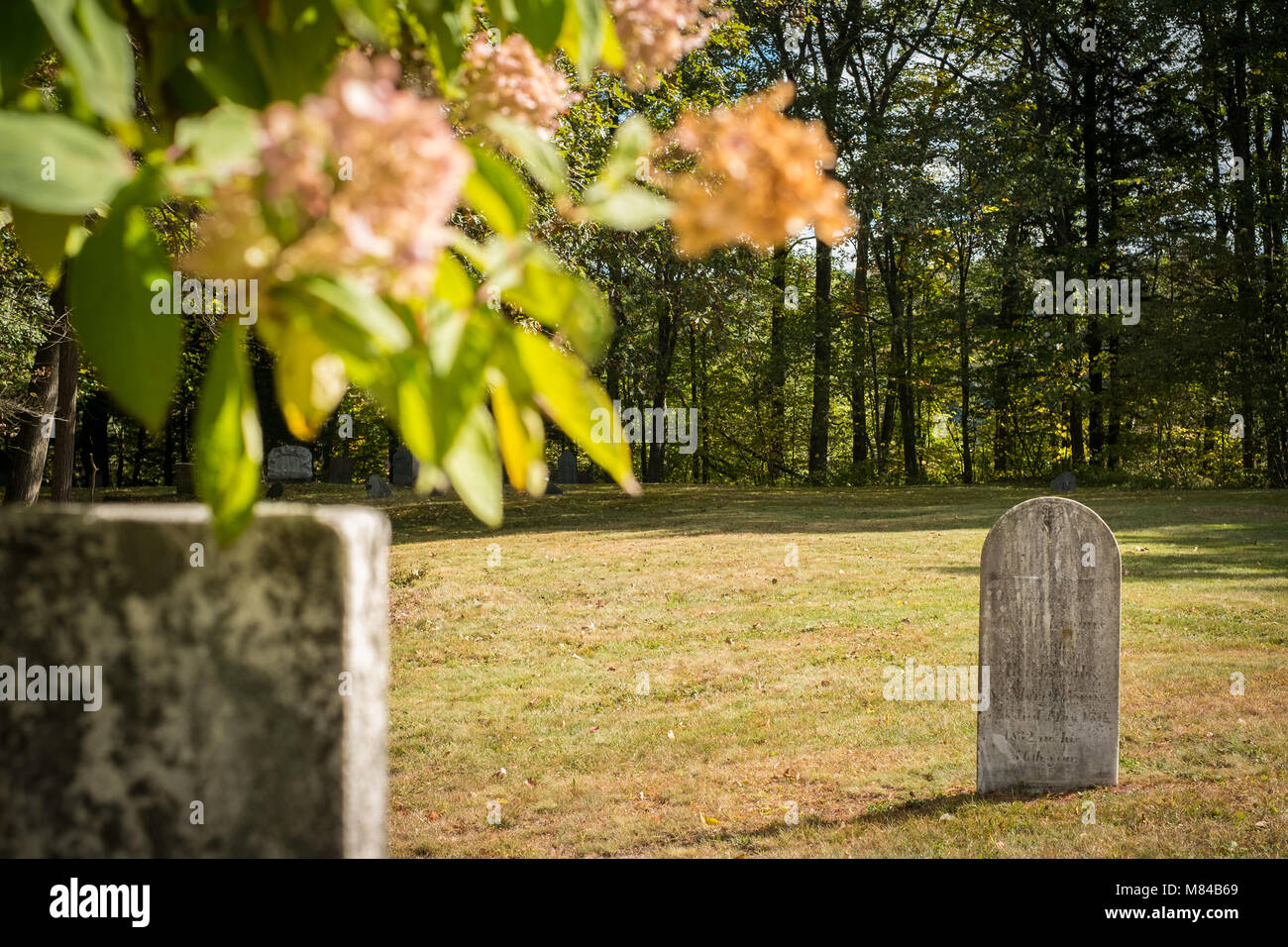 Old unmarked grave with hi-res stock photography and images - Alamy