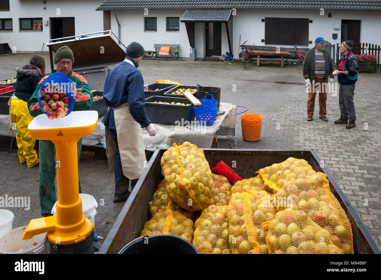 Craft Apple Juice manufacturing in Germany Stock Photo - Alamy