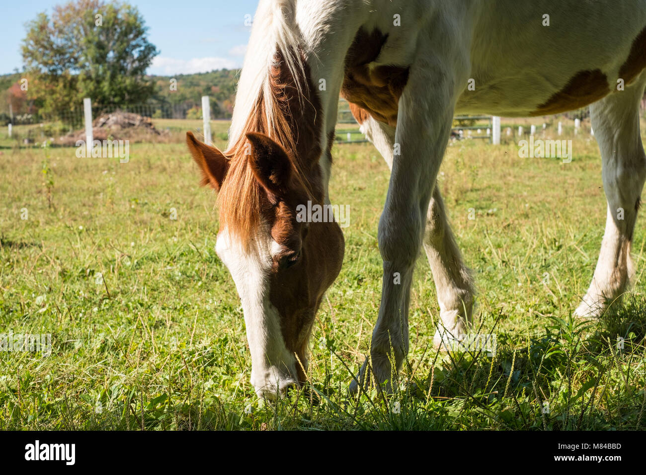 Vermont landscapes hi-res stock photography and images - Alamy