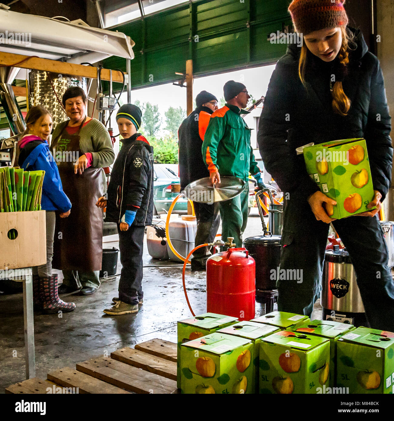 Craft Apple Juice manufacturing in Germany Stock Photo - Alamy