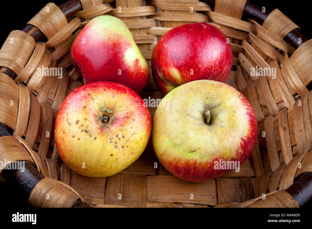 Kaiser alexander hi-res stock photography and images - Alamy