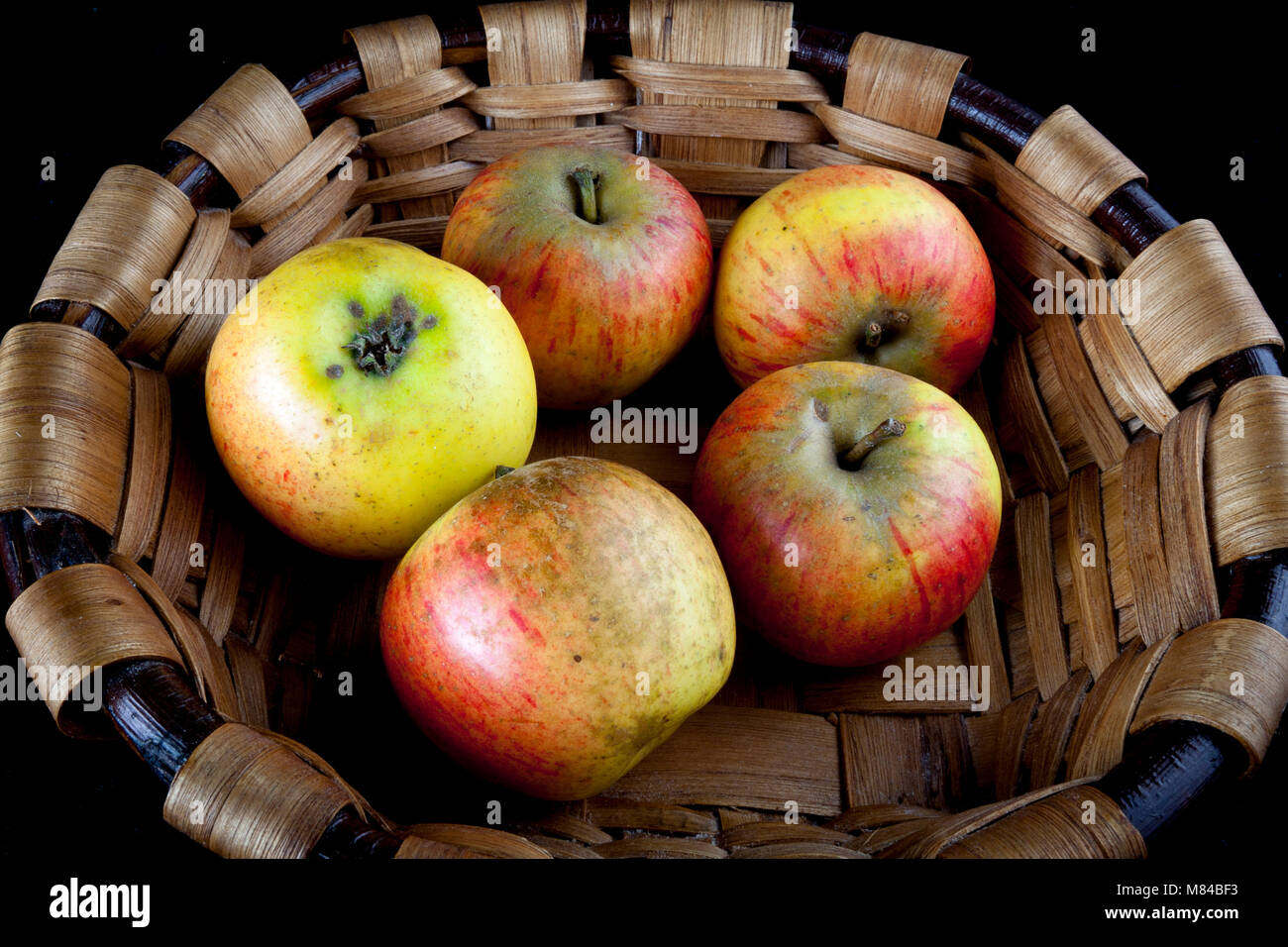Old German Apple Cultivar Goldparmäne Stock Photo - Alamy