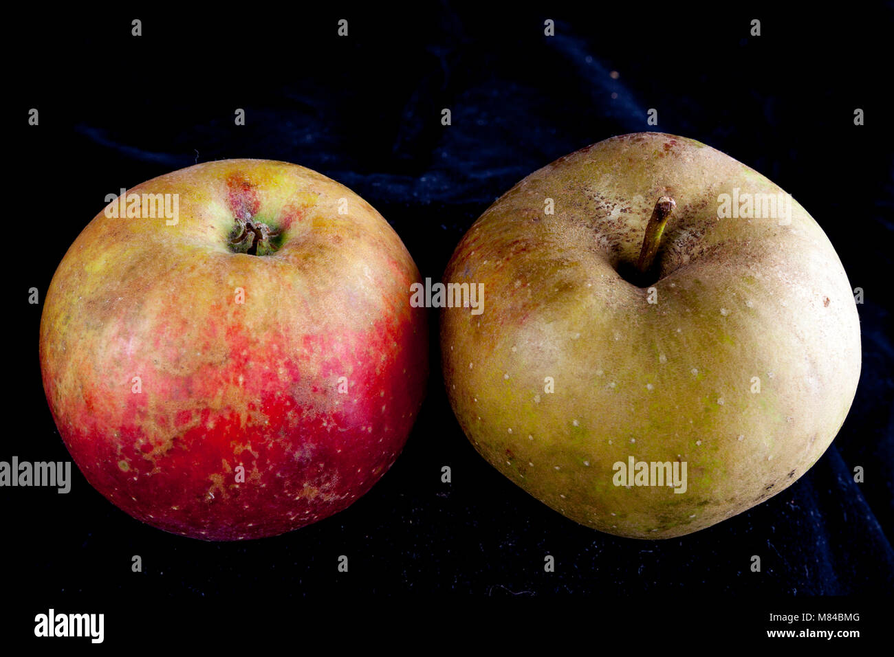 Boskop hi-res stock photography and images - Alamy