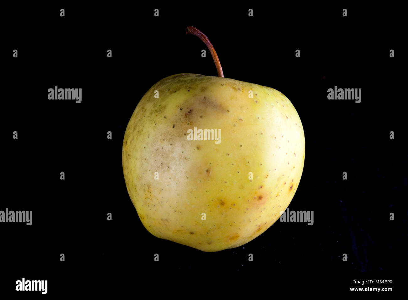 Old German Apple Cultivar Delicious Stock Photo - Alamy