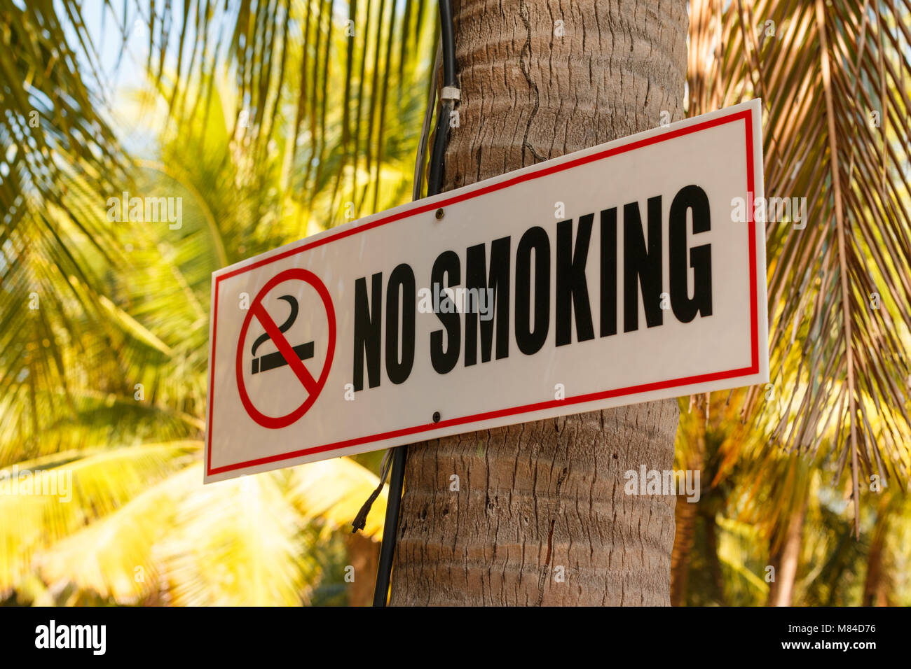 No smoking sign on a coconut tree Stock Photo - Alamy
