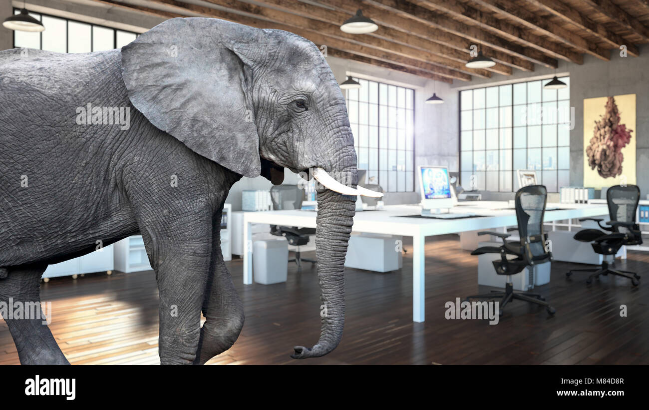 Elephant in modern industrial office 3d rendering image Stock Photo - Alamy