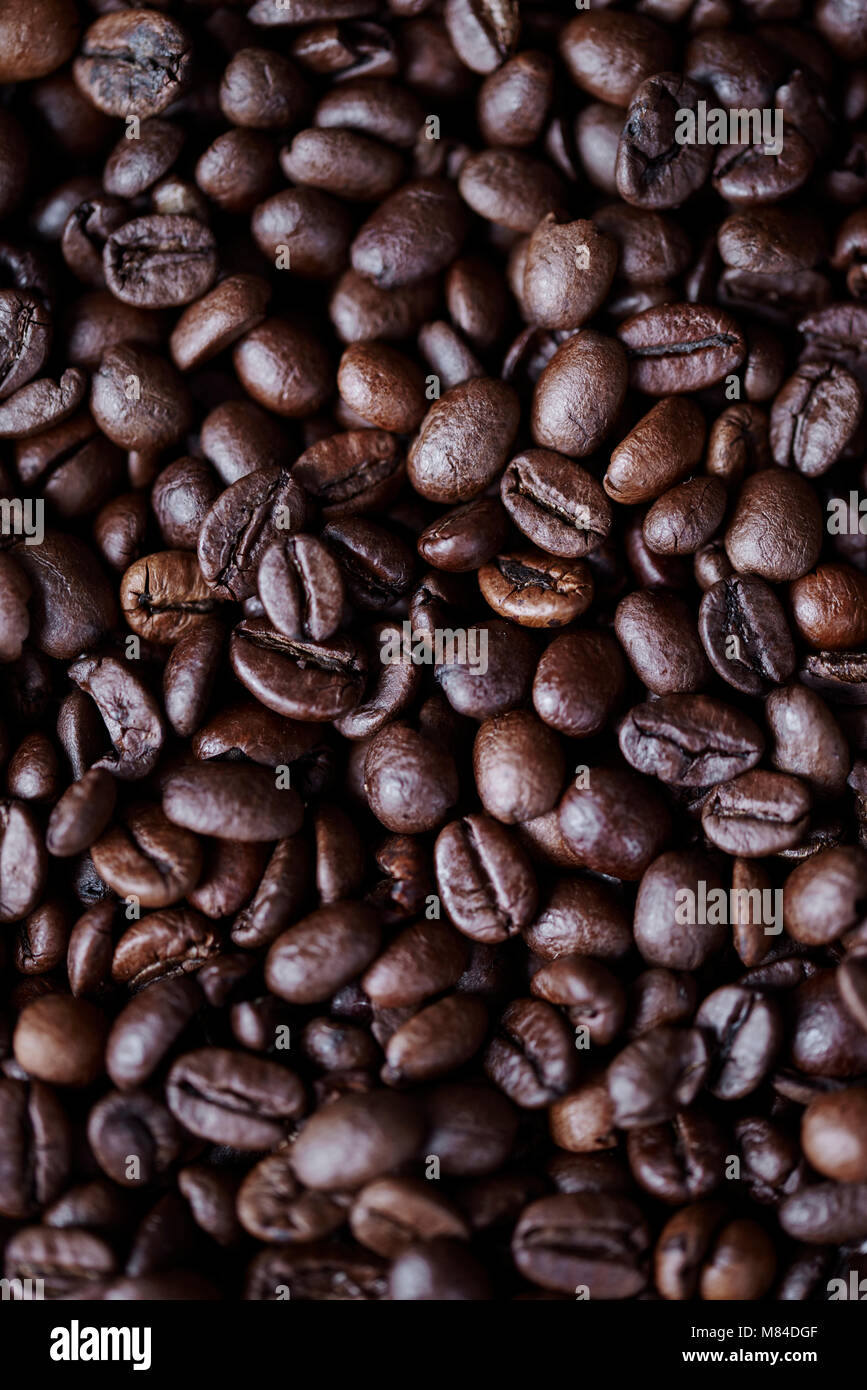 Shot of coffee bean at studio shot Stock Photo - Alamy