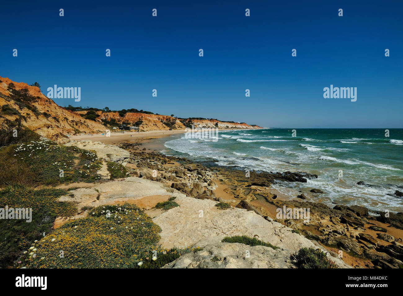 View of Landscape with Cliff and Dunes at the Beach near Albufeira ...