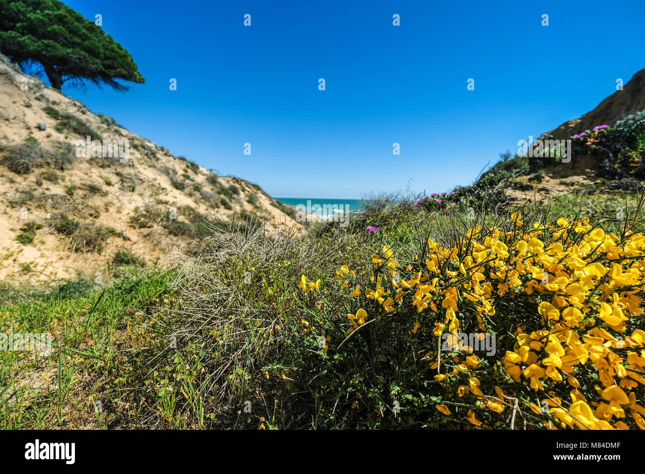 View of Landscape with Cliff and Dunes at the Beach near Albufeira ...