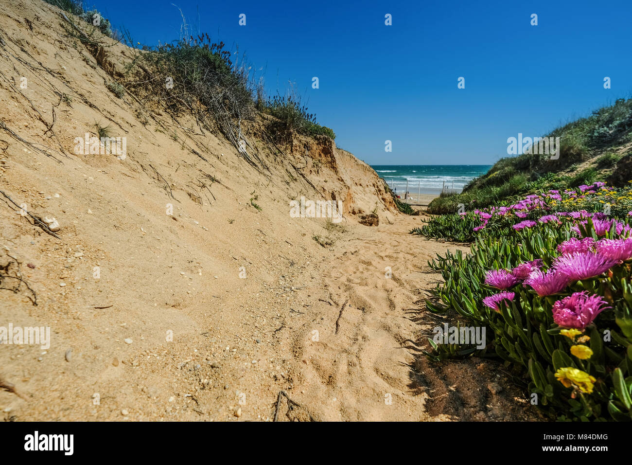 View of Landscape with Cliff and Dunes at the Beach near Albufeira ...