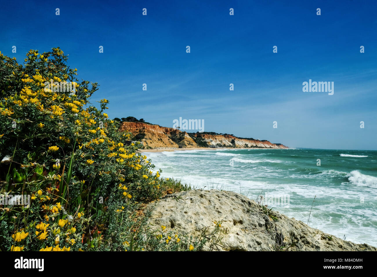 View of Landscape with Cliff and Dunes at the Beach near Albufeira ...
