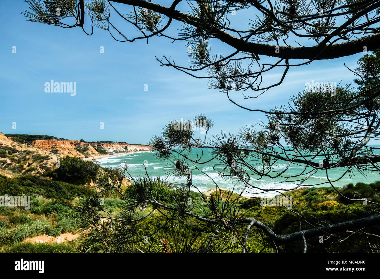 View of Landscape with Cliff and Dunes at the Beach near Albufeira ...