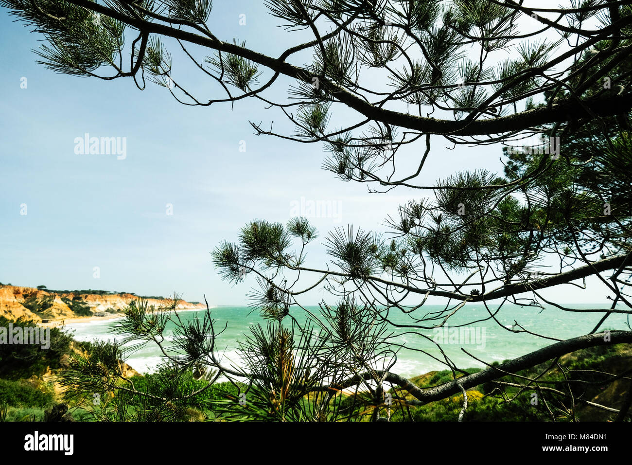 View of Landscape with Cliff and Dunes at the Beach near Albufeira ...