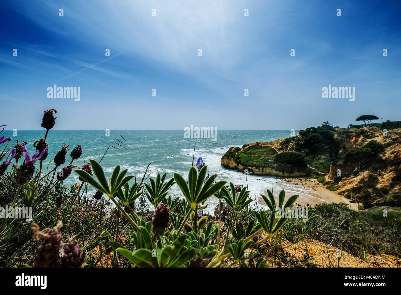 View of Landscape with Cliff and Dunes at the Beach near Albufeira ...
