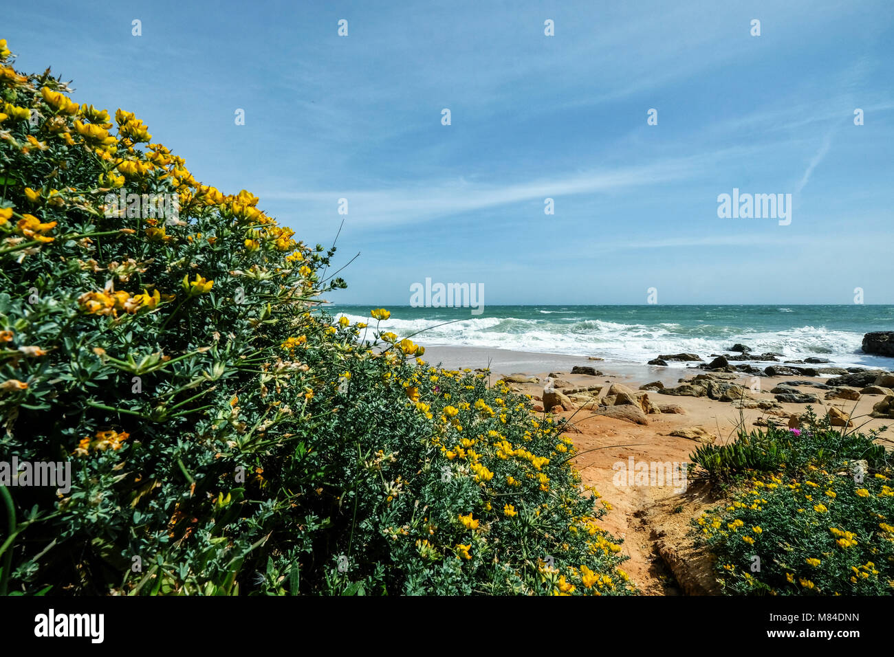 View of Landscape with Cliff and Dunes at the Beach near Albufeira ...