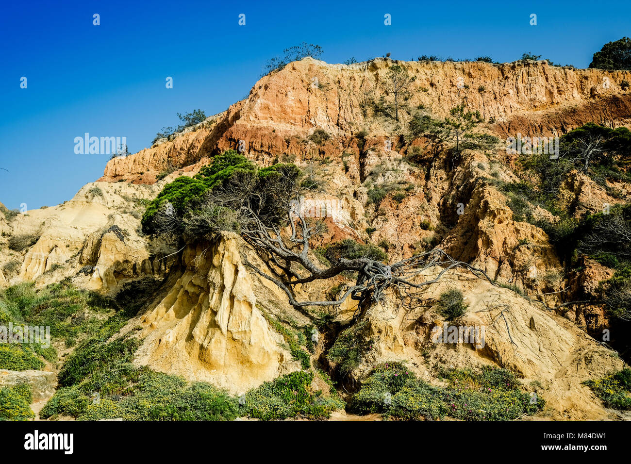 View of Landscape with Cliff and Dunes at the Beach near Albufeira ...