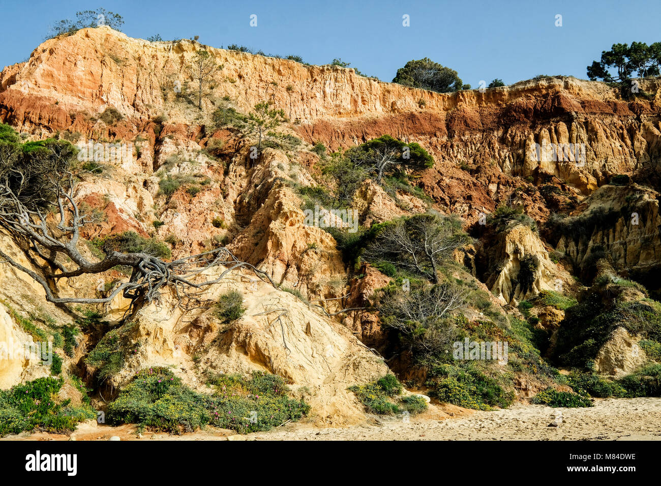View of Landscape with Cliff and Dunes at the Beach near Albufeira ...