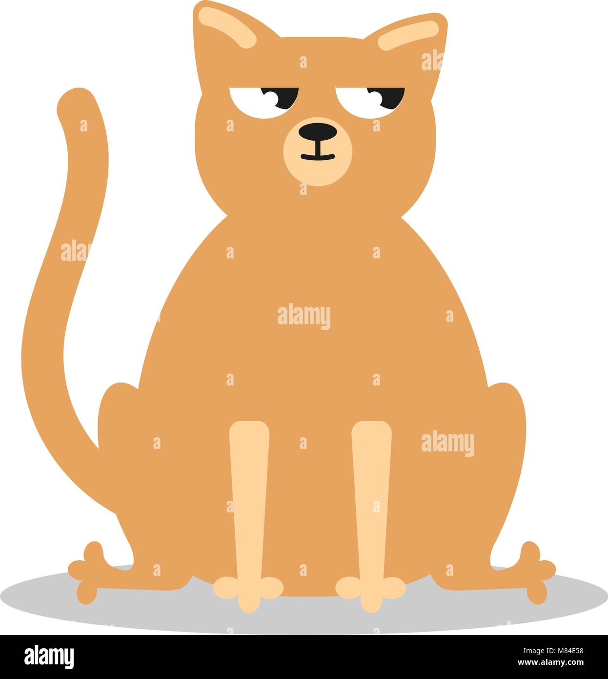 Angry grumpy cat flat vector Stock Vector Image & Art - Alamy
