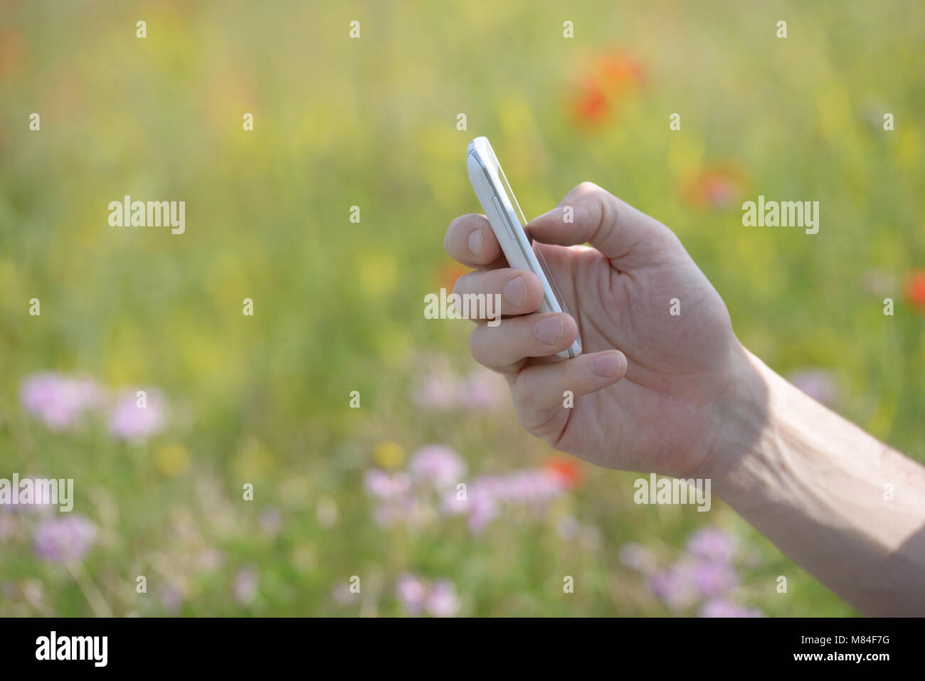 Hand holding a mobile phone Stock Photo - Alamy