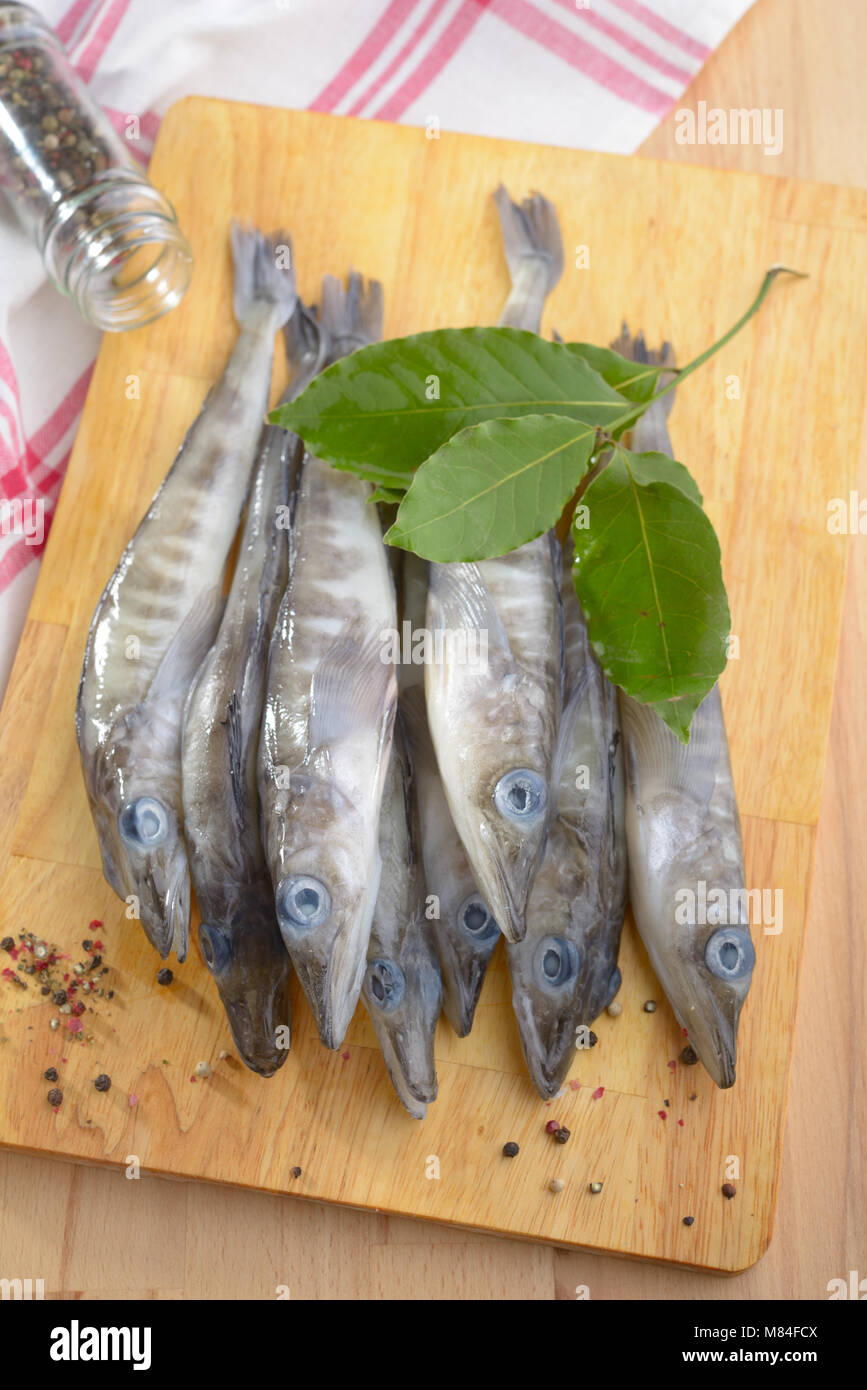 Icefish hi-res stock photography and images - Alamy
