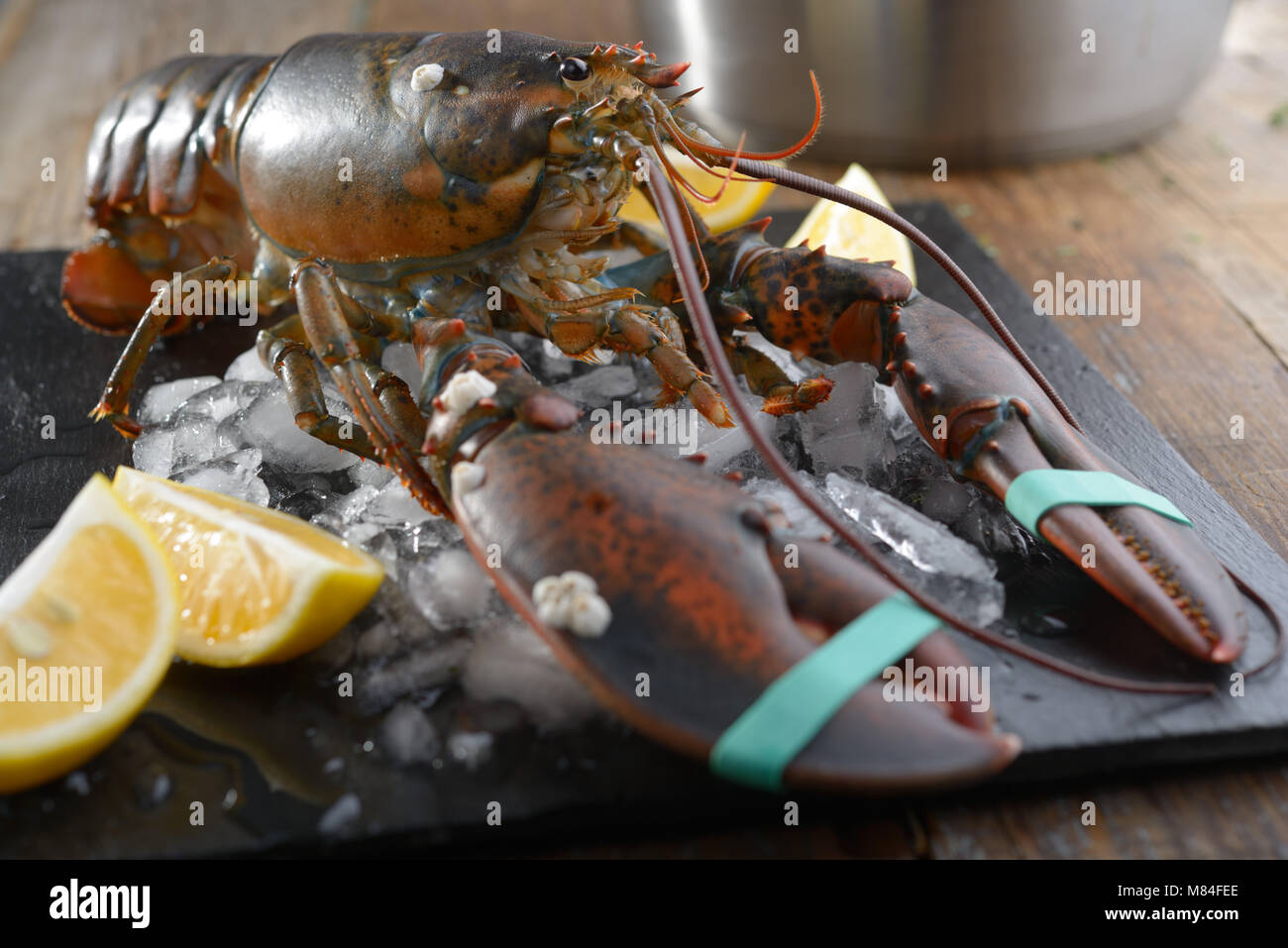 Clawed lobster on a table before cooking. Focus on eyes Stock Photo - Alamy