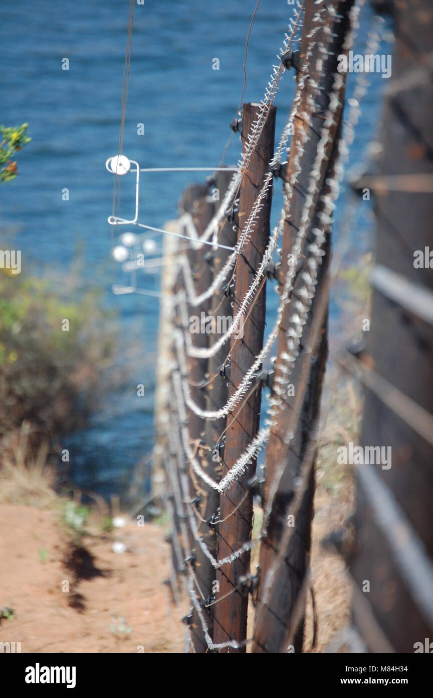 Barbed wire electric fence / border Stock Photo - Alamy