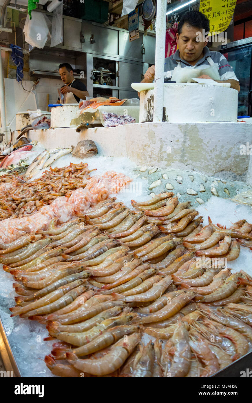 Shrimps and Mexican local seller at fish market, mexico city, Mexico ...