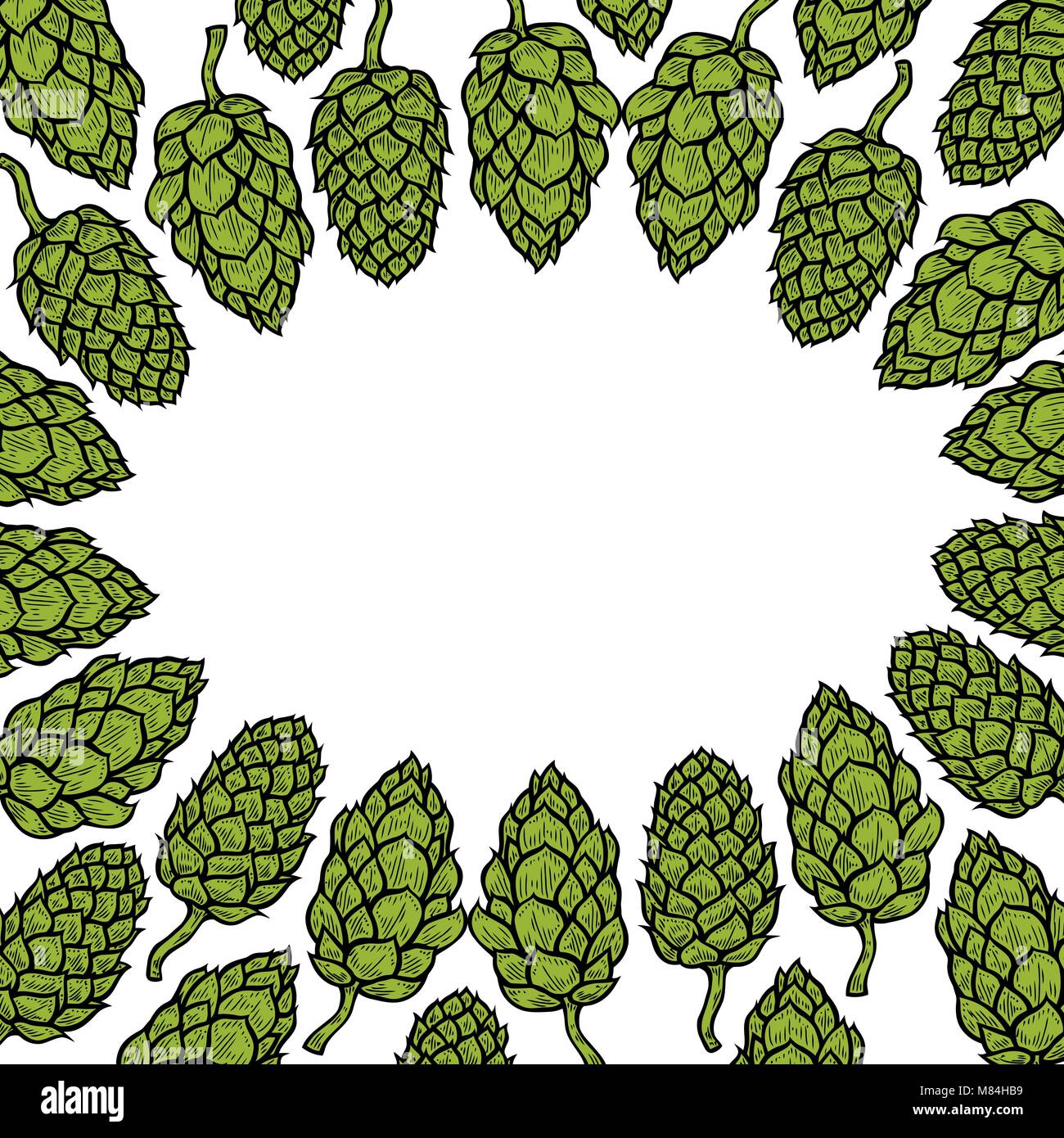 background of Hop hand drawn in artistic engraved style. Colored vector ...