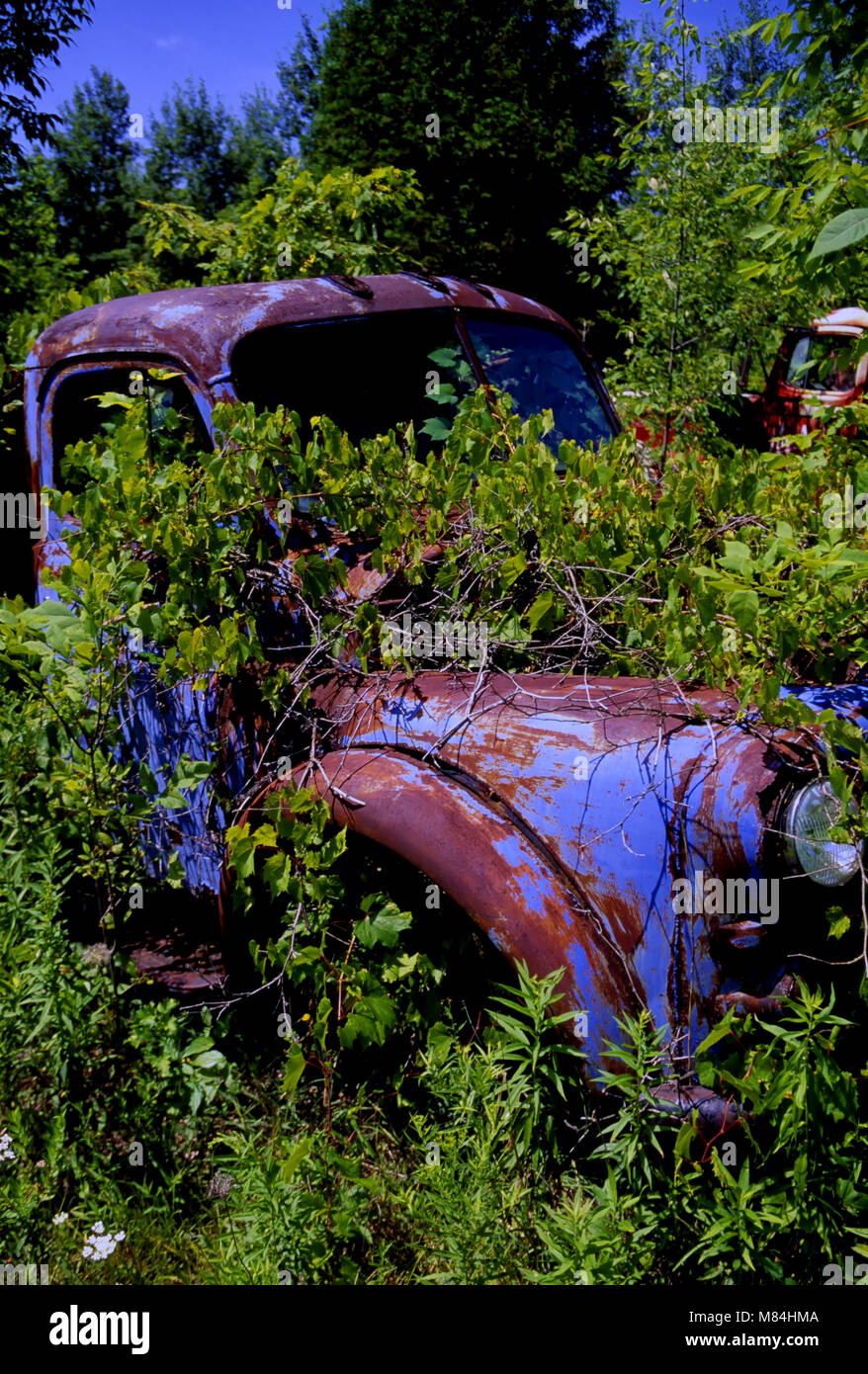 Junkyard north america hi-res stock photography and images - Alamy