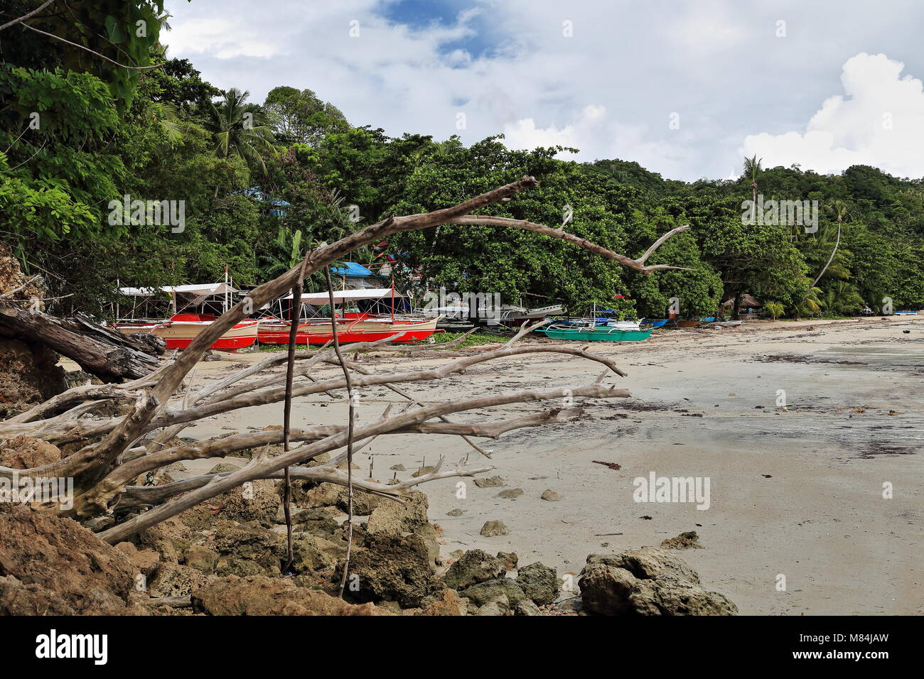 Canoe prow beach High Resolution Stock Photography and Images - Alamy