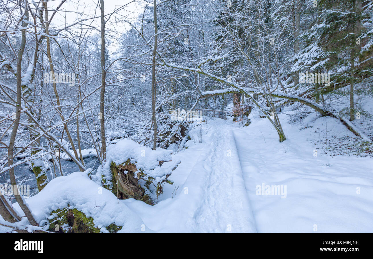 Snow covered walking path hi-res stock photography and images - Alamy