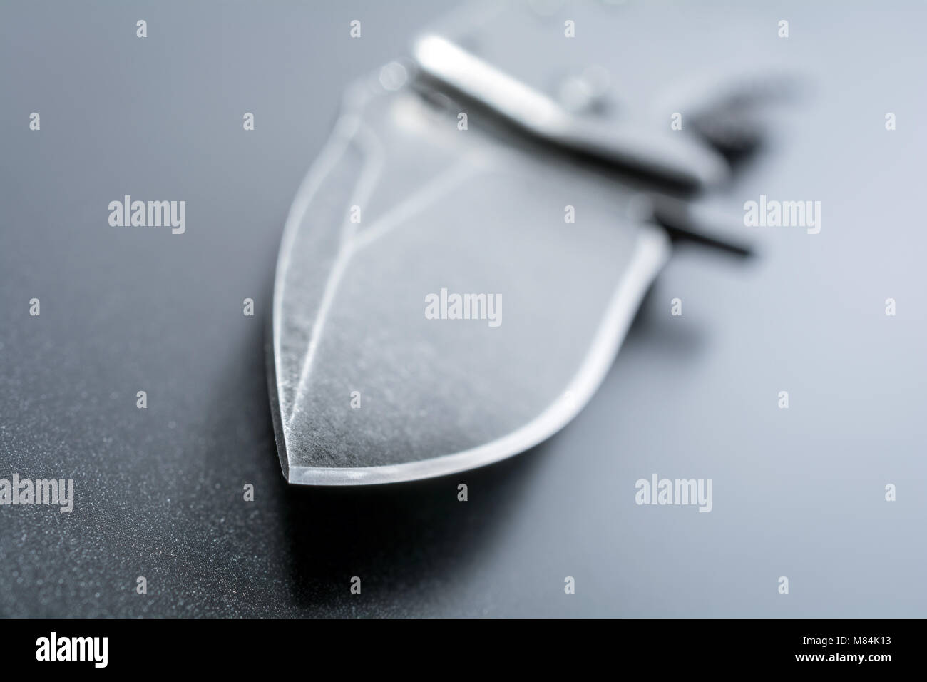 Macro Of A Knife Point Of An Opened Black Folding Knife Which Is Lying ...