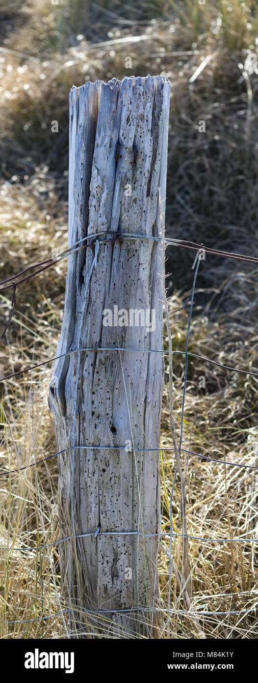 Weathered fence post hi-res stock photography and images - Alamy