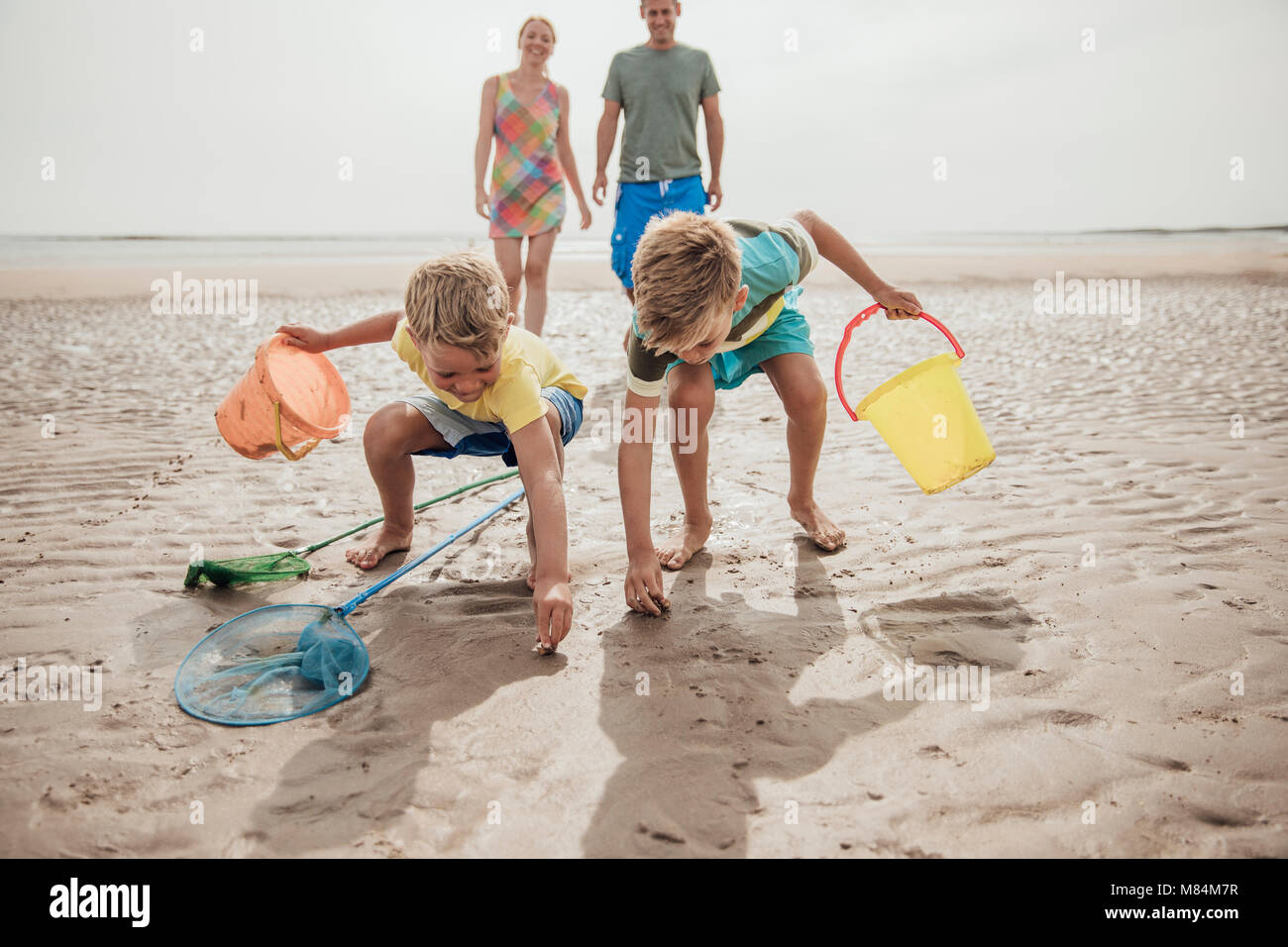 Family looking and searching for shells and lost treasure at the beach ...